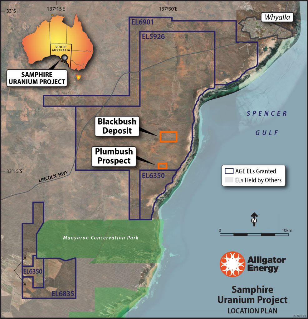 Samphire - Alligator Energy